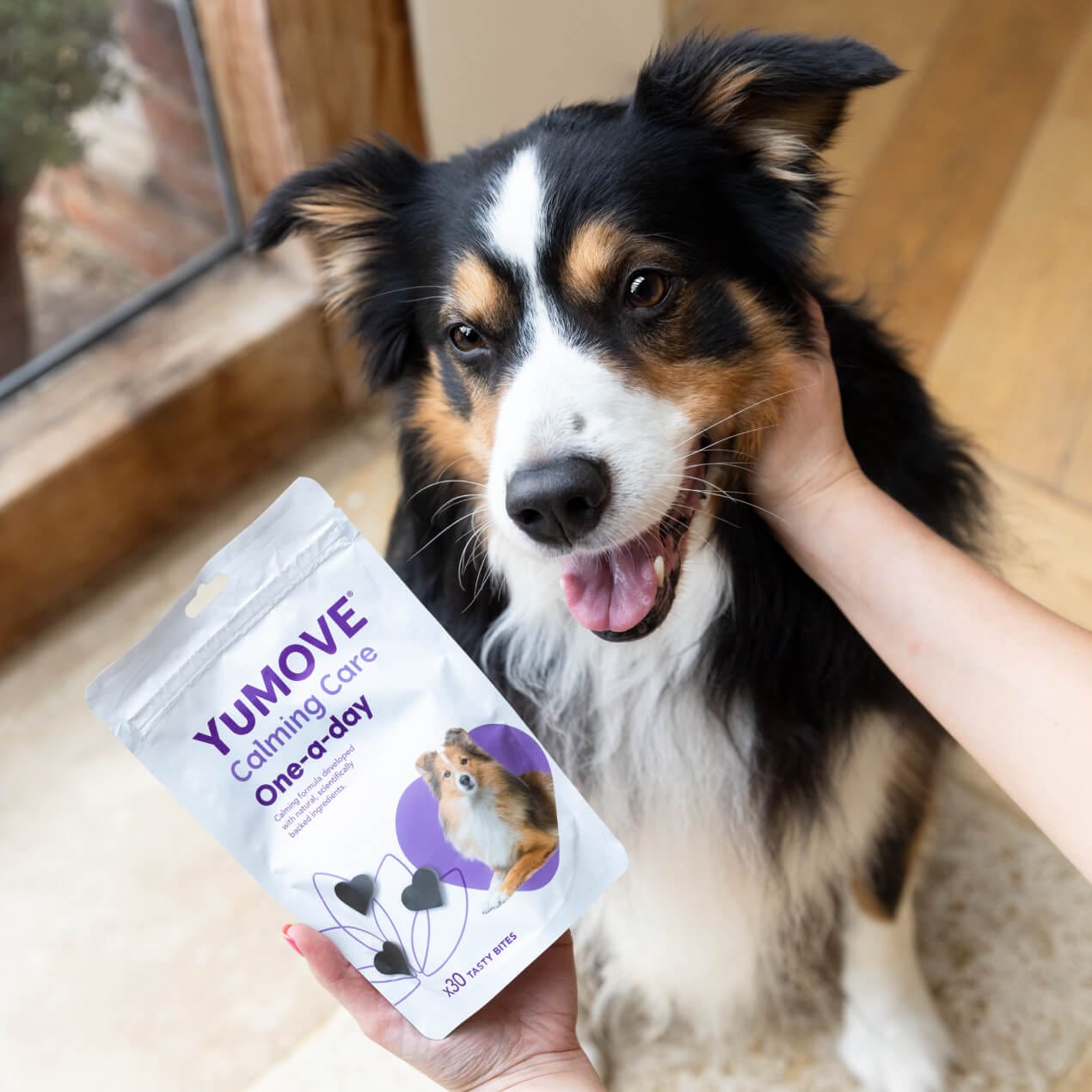 Calming Supplements with L-Tryptophan for Dogs | YuMOVE