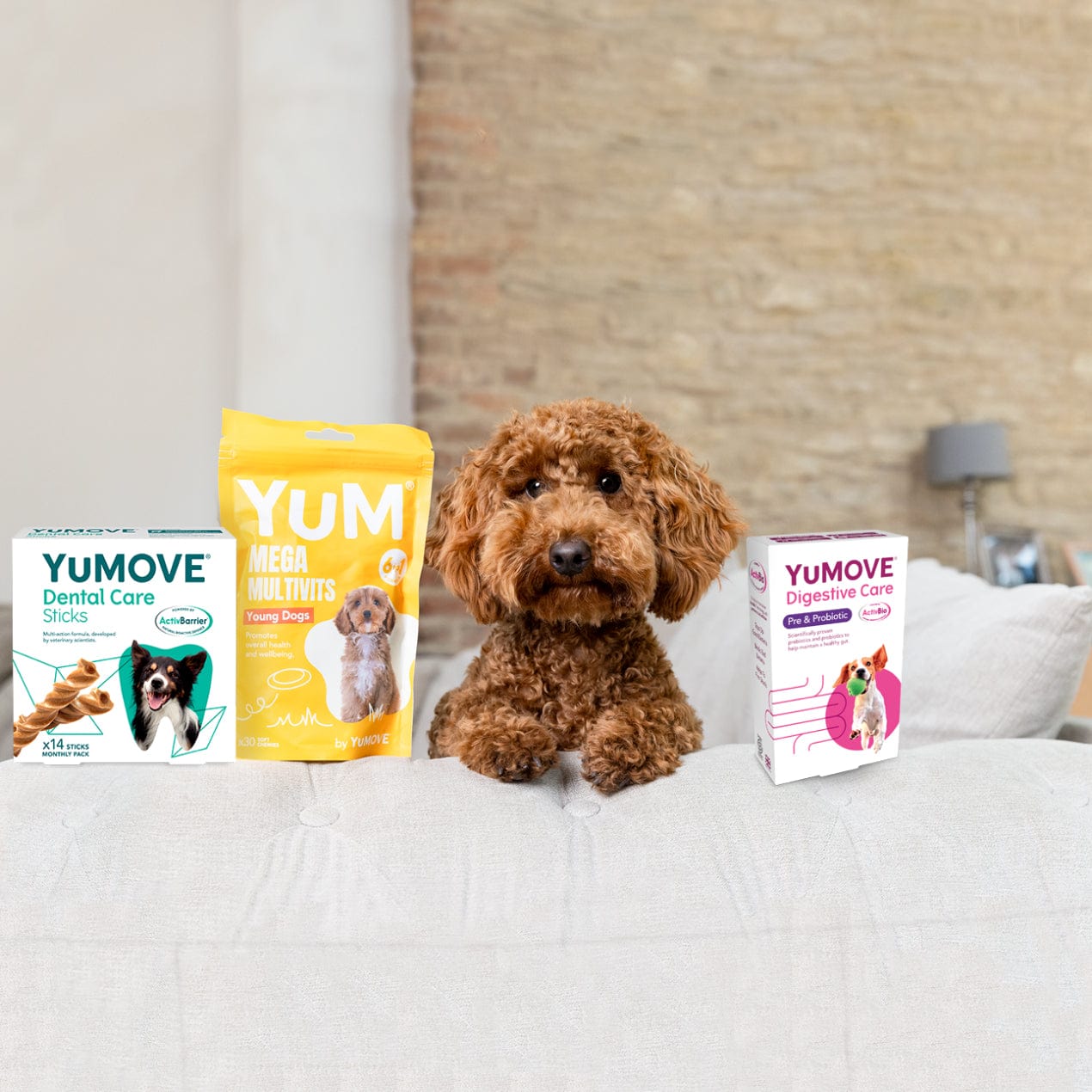 Dog Supplement Bundles | Supplements for Dogs | YuMOVE