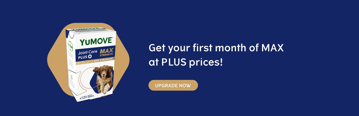 YuMOVE | Home Of The UK’s No.1 Pet Joint Supplement*