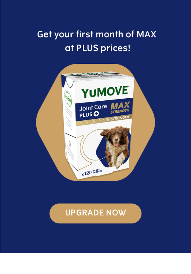 YuMOVE | Home Of The UK’s No.1 Pet Joint Supplement*