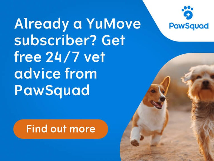 YuMOVE | The UK’s No.1 Pet Joint Supplement*