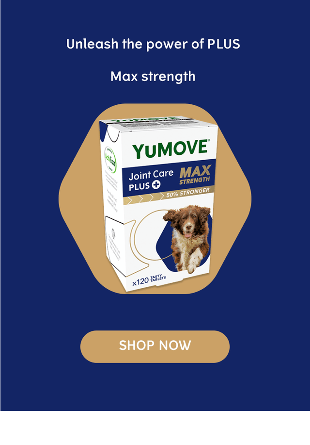 YuMOVE | Home Of The UK’s No.1 Pet Joint Supplement*
