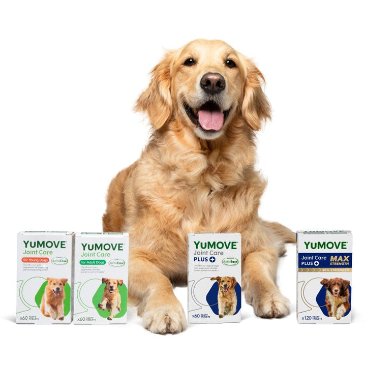 Joint Supplements for Dogs | Mobility & Joint Care | YuMOVE