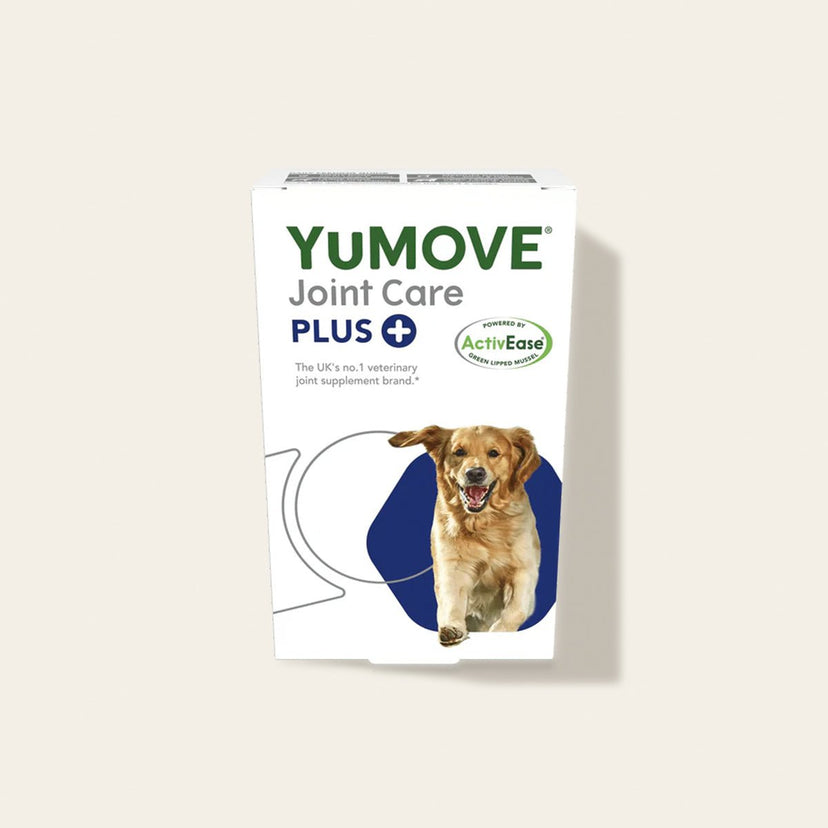 Joint Supplements for Dogs | Mobility & Joint Care | YuMOVE
