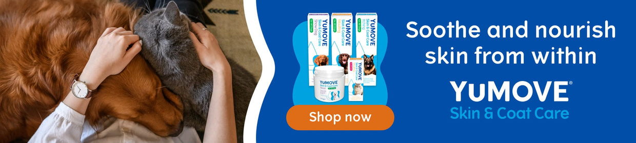 Skin & Coat Dog Supplements | YuMOVE