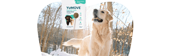 YuMOVE | The UK’s No.1 Pet Joint Supplement*
