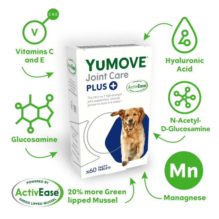 YuMOVE's Best Joint Supplements for Dogs | Joint Care for Dogs | YuMOVE UK