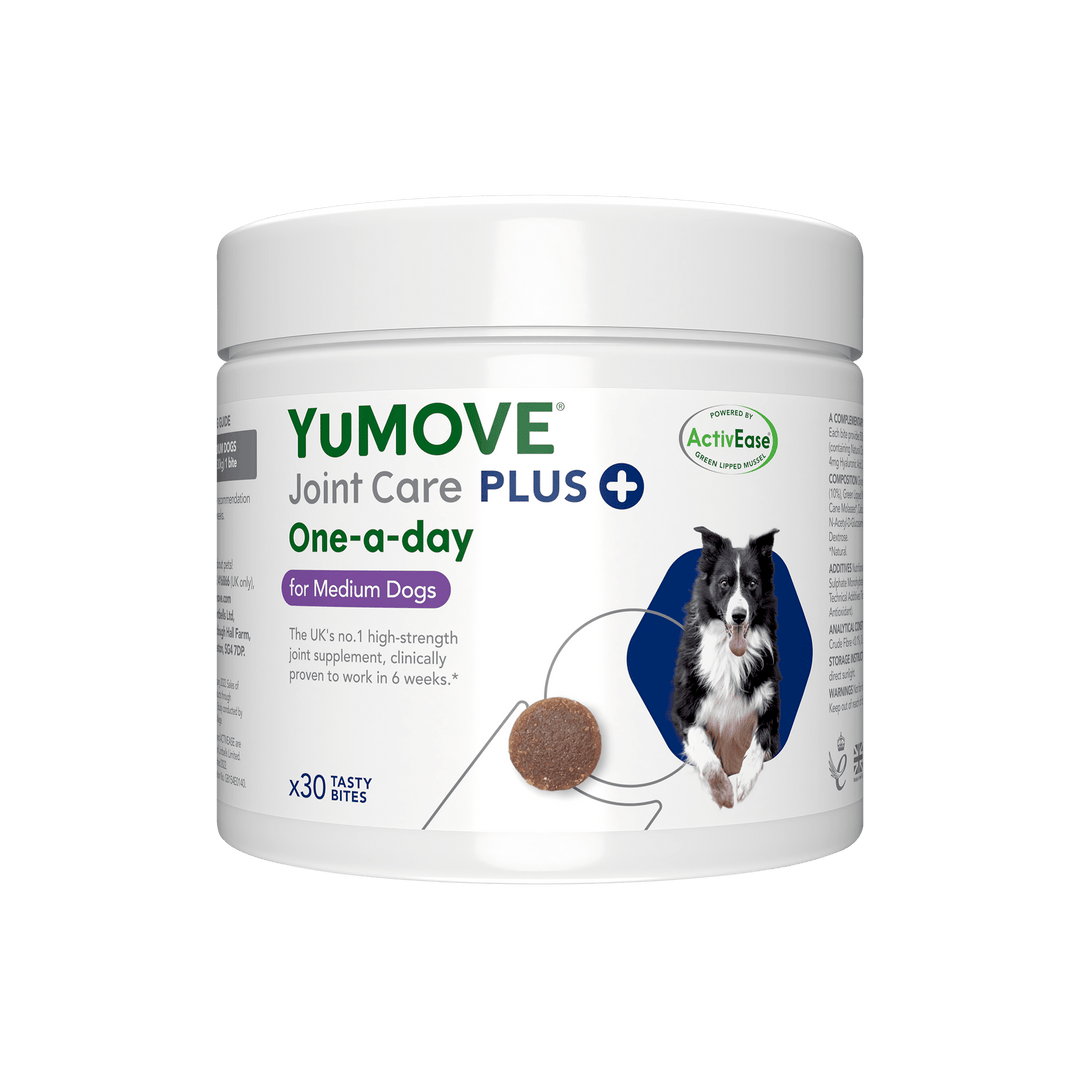 YuMOVE PLUS One-A-Day | Chew Joint Supplement For Dogs | YuMOVE