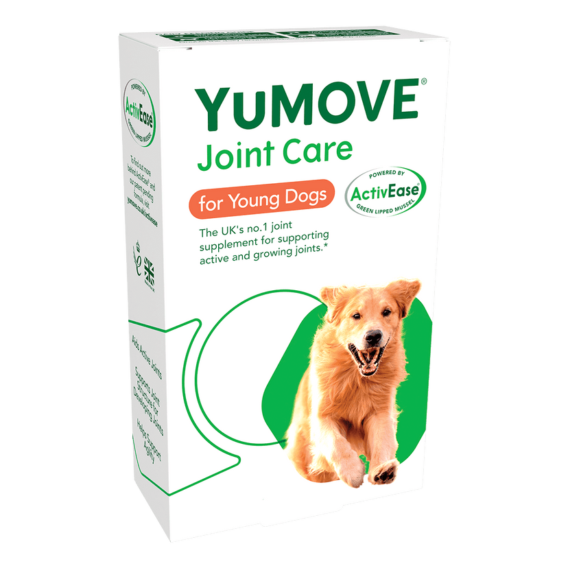 YuMOVE's Best Joint Supplements for Dogs | Joint Care for Dogs | YuMOVE UK